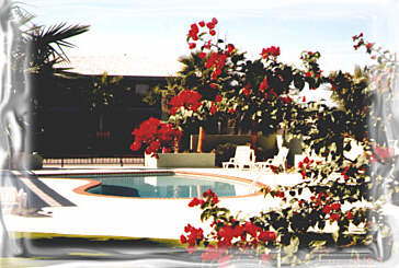 Welcome to Kofa Inn...